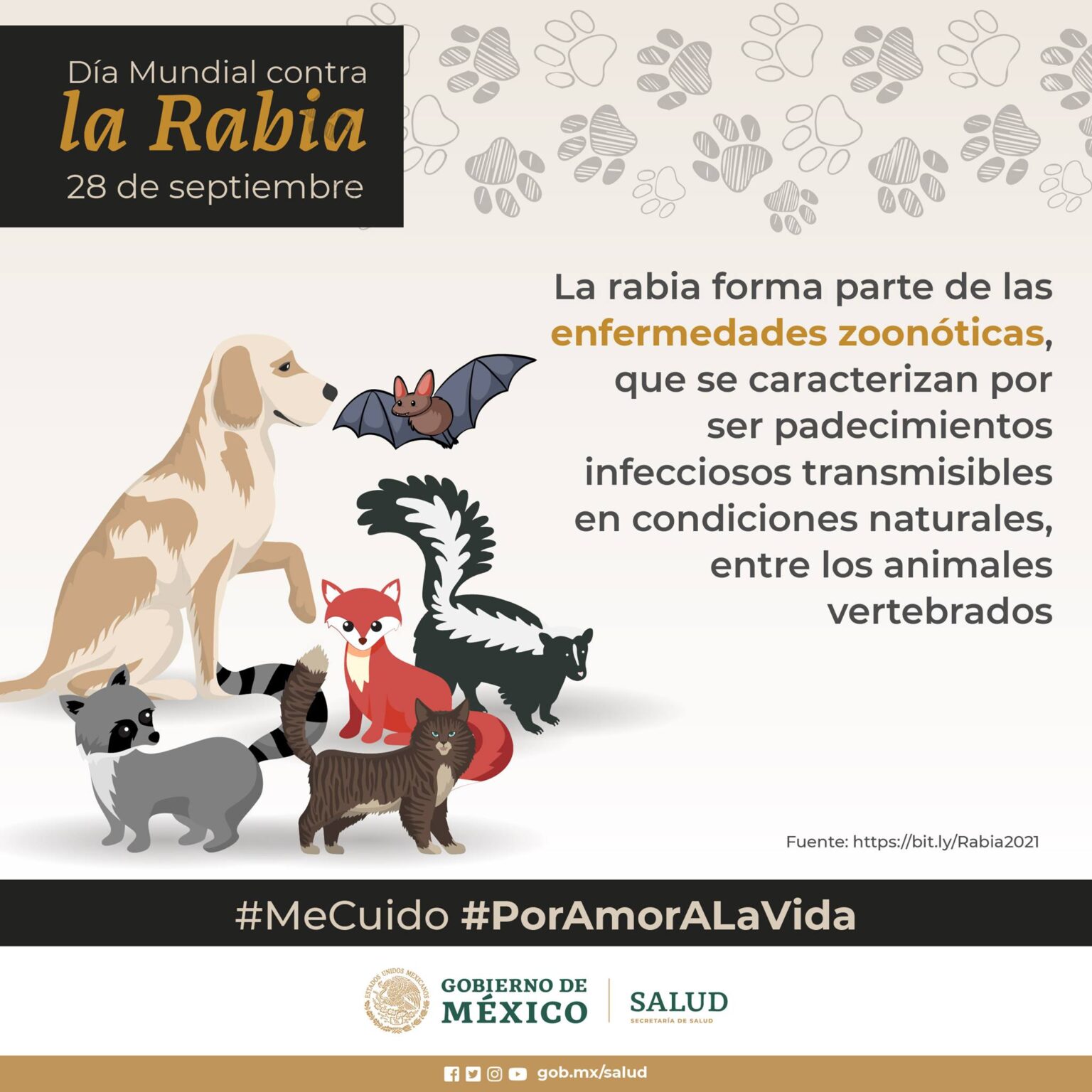 Rabia humana: ¿Cuáles son los síntomas de la enfermedad bajo vigilancia ...