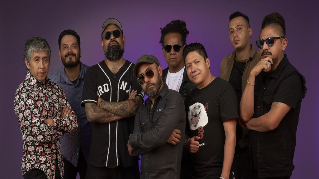 La dosis perfecta” está inspirada en Martha Higareda? Panteón Rococó ...